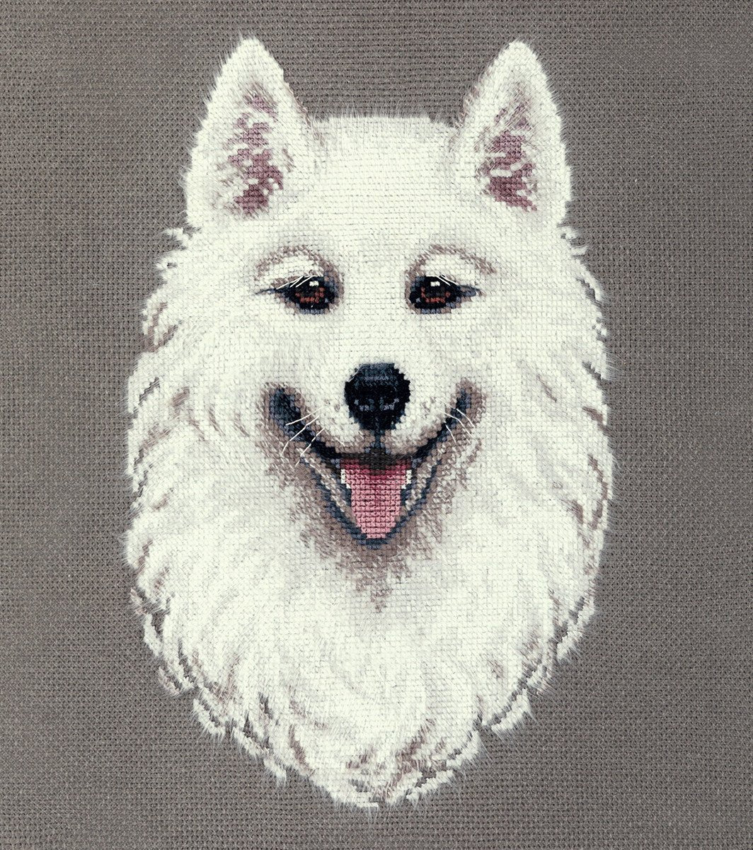 Siuvinėjimo komplektas kryželiu „Samojedas“ 18,5×24,5 cm — šunų ...